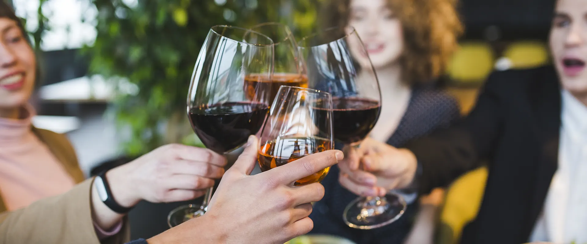 Nosotros - Open Wines